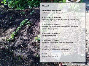 Der Samen – Werkelwald